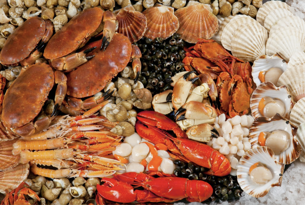 10 Must-Try Seafood Delights in Halong Bay - Amanda Cruises Halong Bay